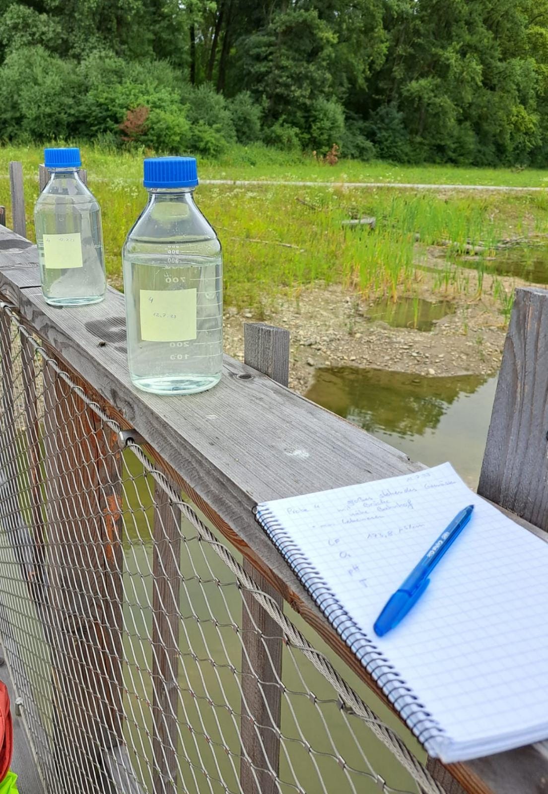 Sommerpraktikum von Anna, Lucie und Zoe vom BORG Nonntal – Bakterien im ...