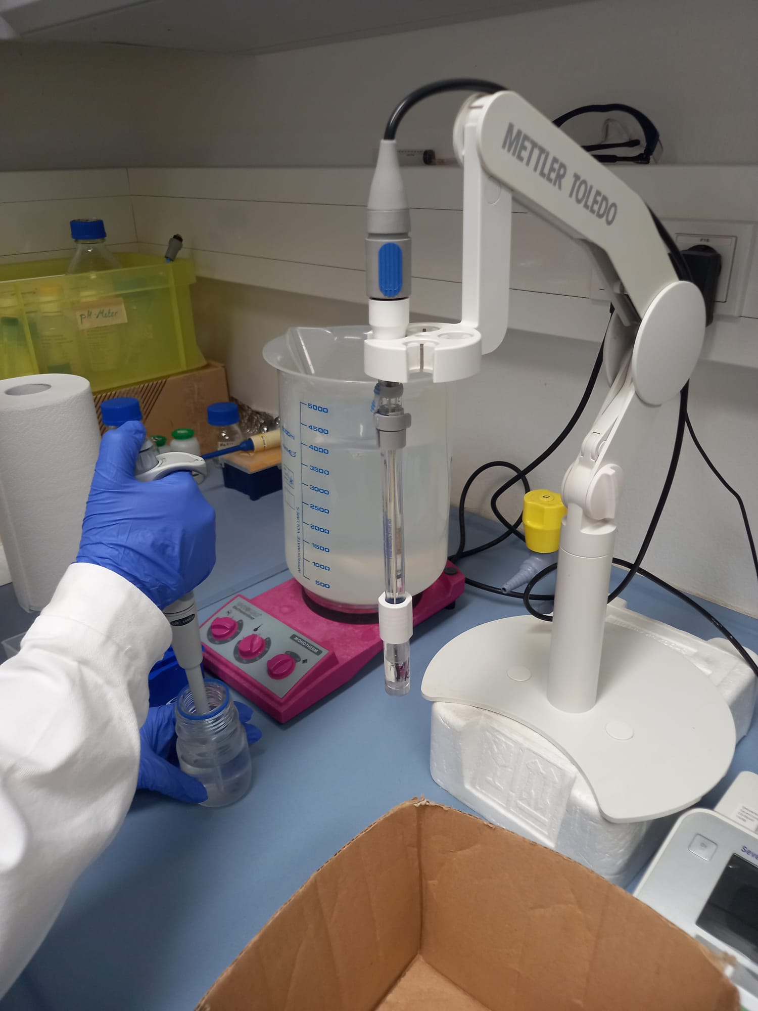 Sommerpraktikum von Anna, Lucie und Zoe vom BORG Nonntal – Bakterien im ...